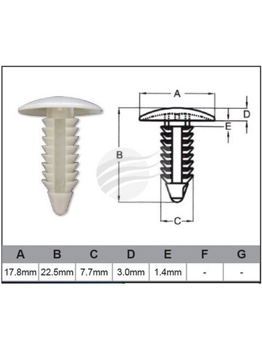 Jaylec Pack 100 Automotive Fastener Gm White Plastic (EAF0002-100) | eBay Australia