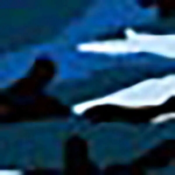 Chronos GX Chess Clock Carrying Bag - Blue Camo | eBay