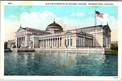 Postcard MUSEUM SCENE Chicago Illinois IL o/19 AO2446 | eBay