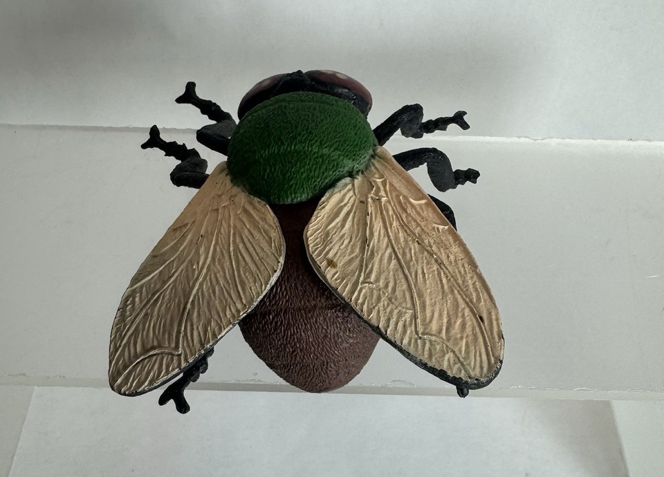 Realistic Large Plastic Fly Bug Insect | eBay