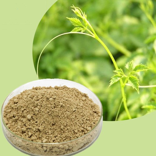 Gynostemma /Jiaogulan Extract Powder, ≥ 80% Gypenosides, Top grade | eBay