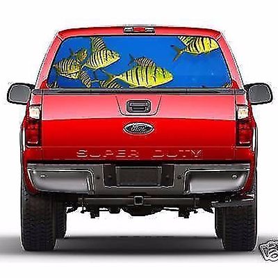 Tropical Fish Rear Window Graphic Tint Metro Auto Graphics Fits All ...