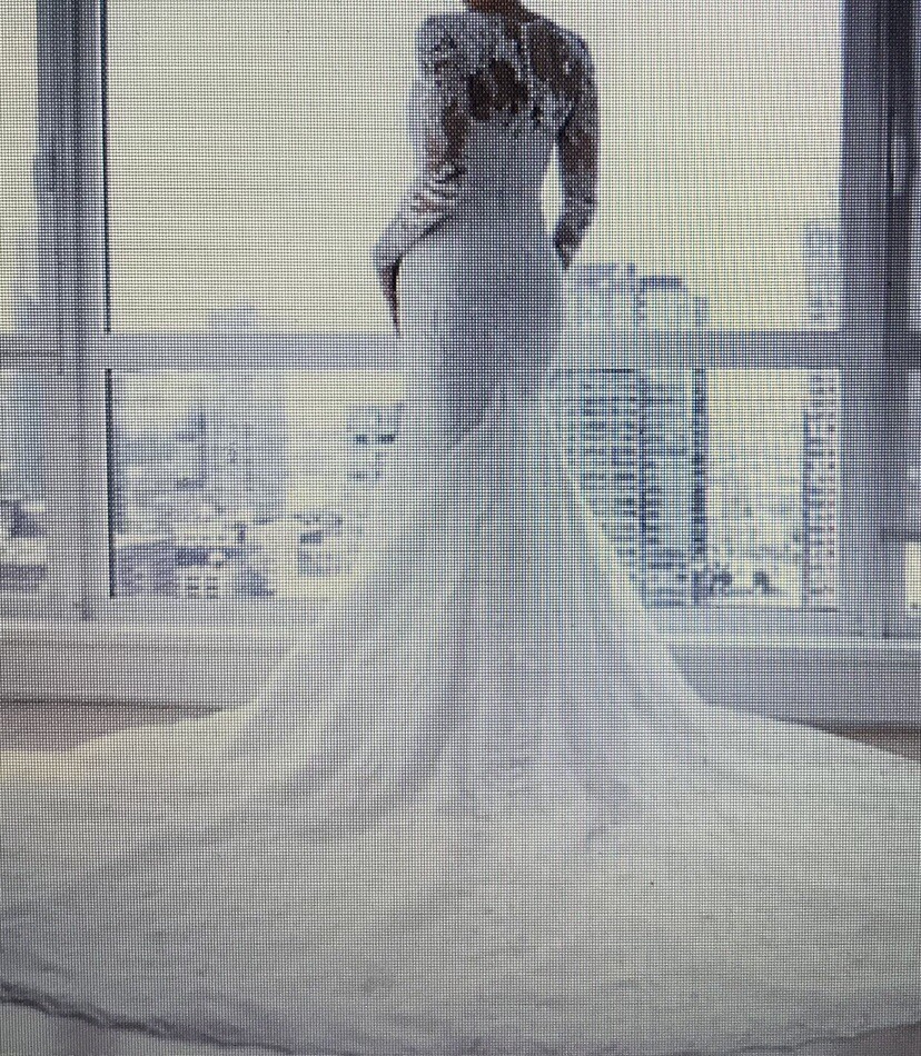 Pronovias Driate Mermaid Wedding Dress and Matching B… - Gem