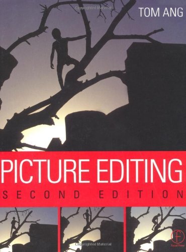 Picture Editing by Ang, Tom Paperback / softback Book The Fast Free ...