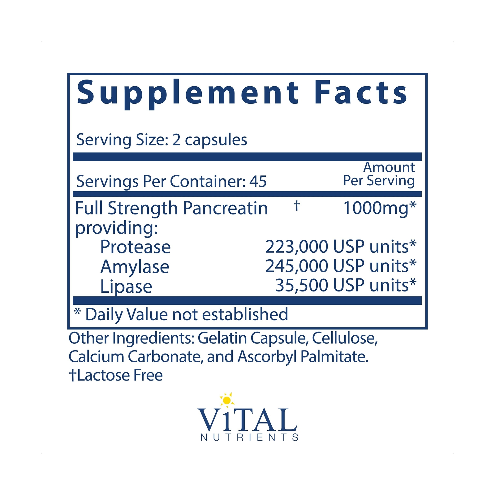Vital Nutrients Pancreatic Enzymes 1000mg (Full Strength) - Digestion ...