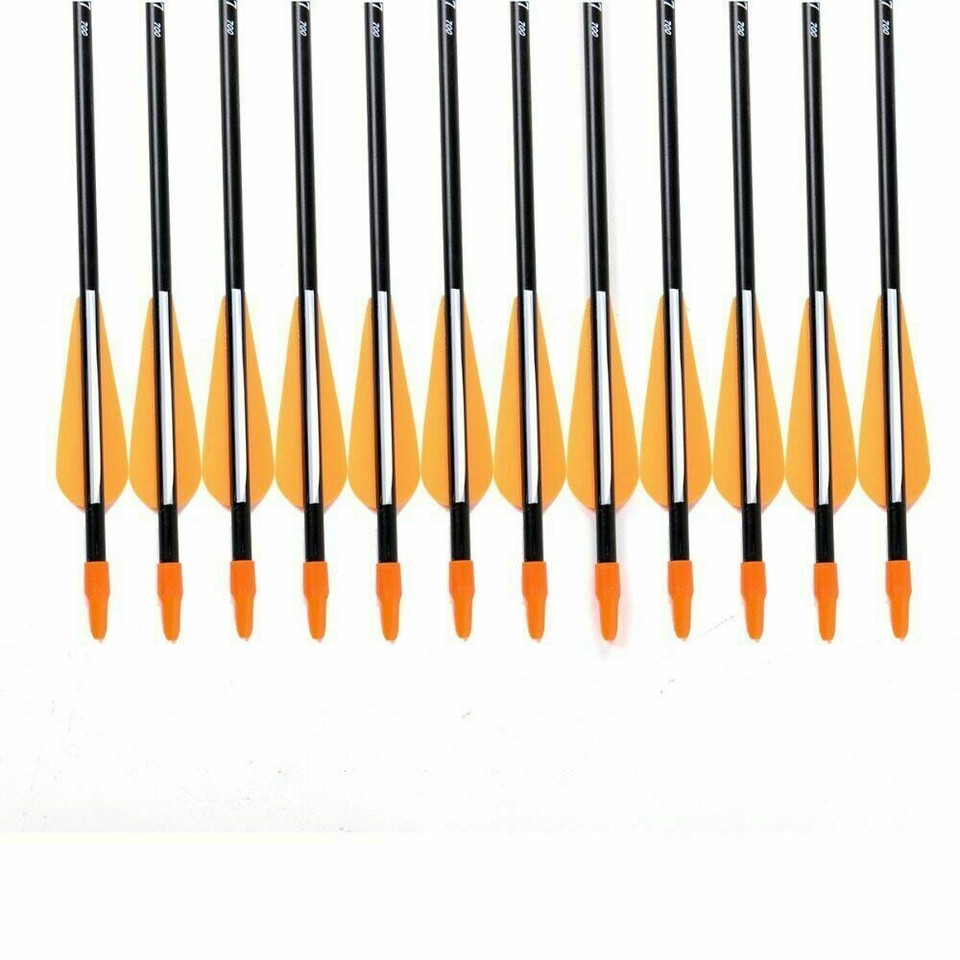 12Pcs Archery 31" Fiberglass Arrows +/or Quiver for Compound Recurve ...