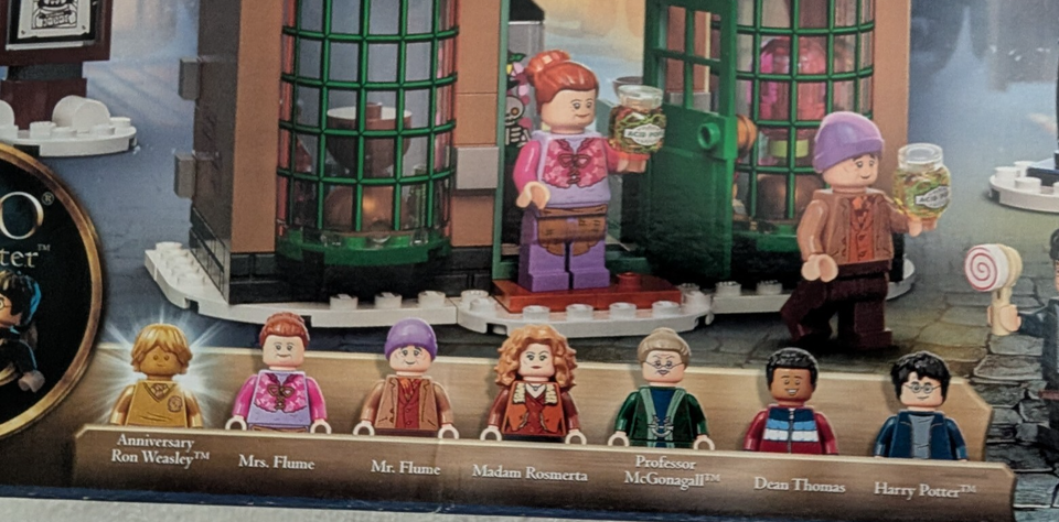 LEGO 76388 Harry Potter Hogsmeade Village Visit Open Box . See Pics ...