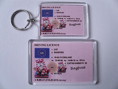 BAGPUSS CAT Keyring or Fridge Magnet = ideal gift idea ...
