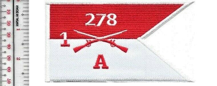 US Army 278th Armored Cavalry Regiment 1st Battalion A Co Tennessee ...