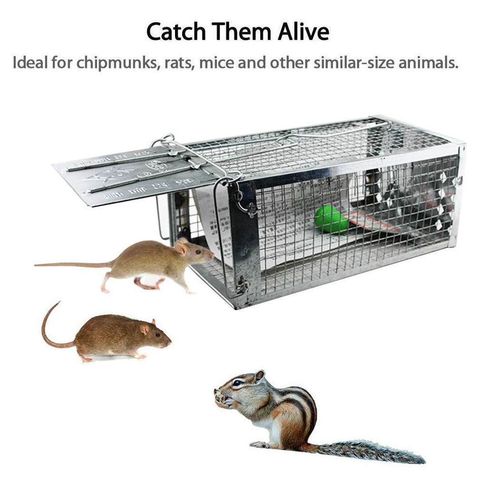 1-6pc Live Humane Cage Trap for Squirrel Chipmunk Rat Mice Rodent ...