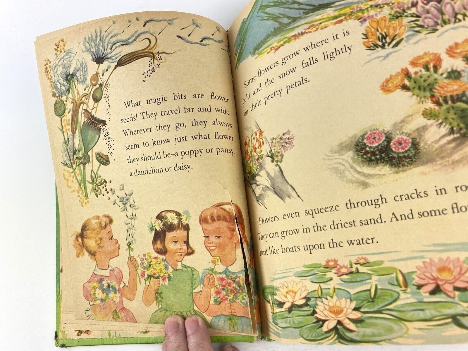 This Magic World Cynthia Koehler Wonder Books Vintage Childrens Book ...