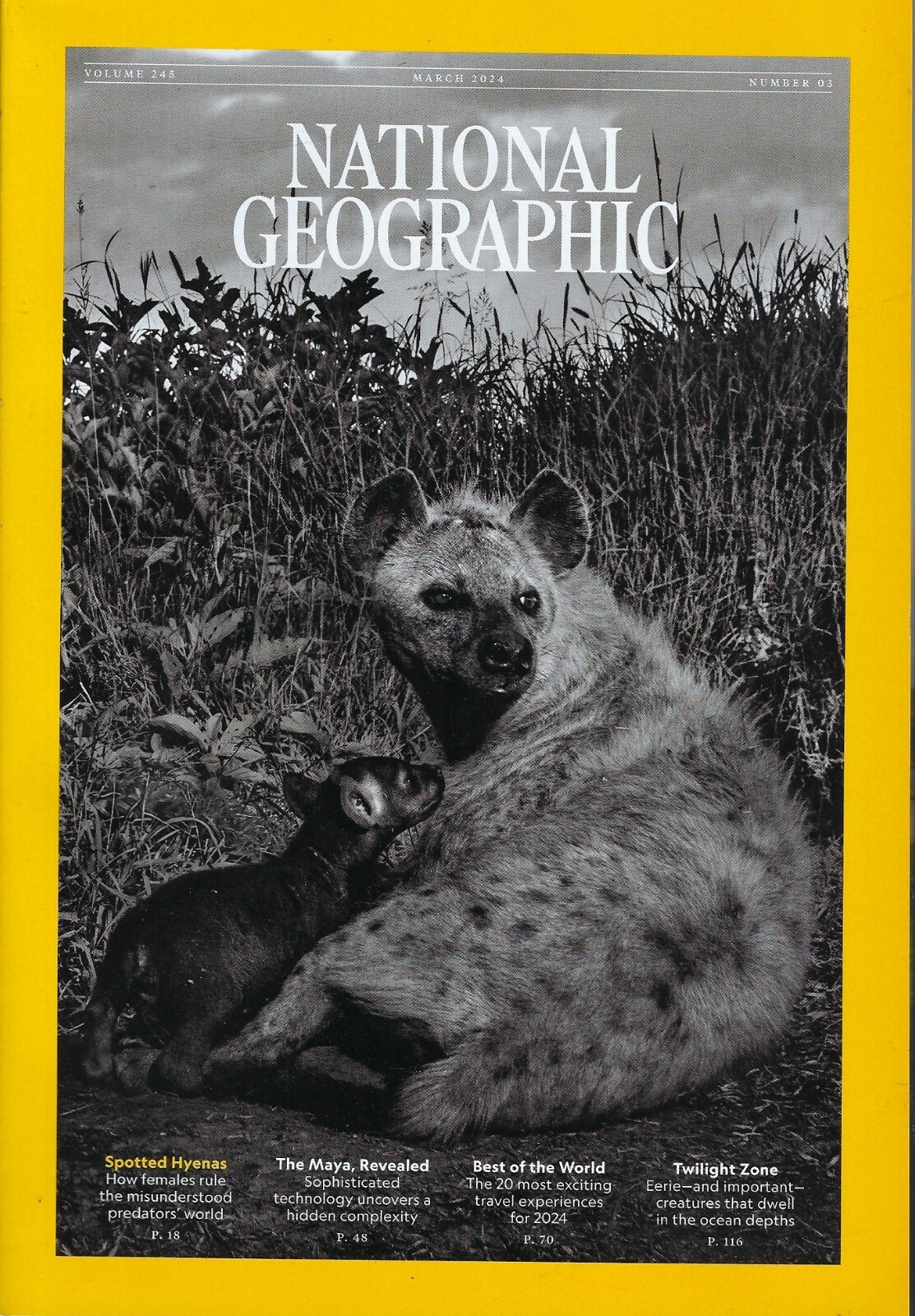 National Geographic March 2024 Number 3 Spotted Hyenas | eBay UK
