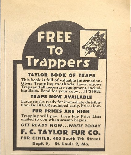 F. C. Taylor Fur Co St Louis Trapping Book Coyote Fox Vintage Print Ad ...