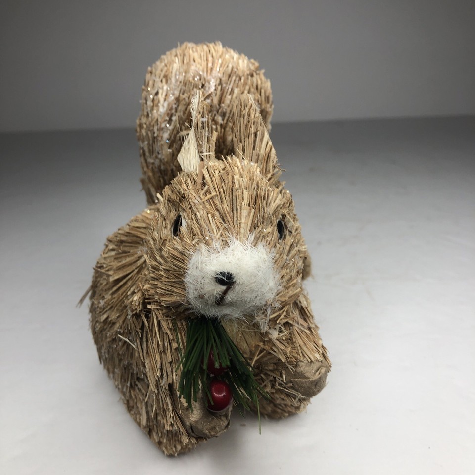 Sisal Straw Glitter Snow Kissed Holds Berries Squirrel Ornament ...