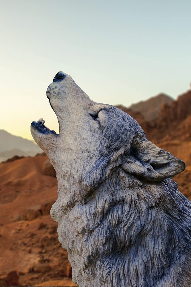 Hi-Line Gift Ltd. Standing Howling Grey Wolf Statue 738362059960| eBay