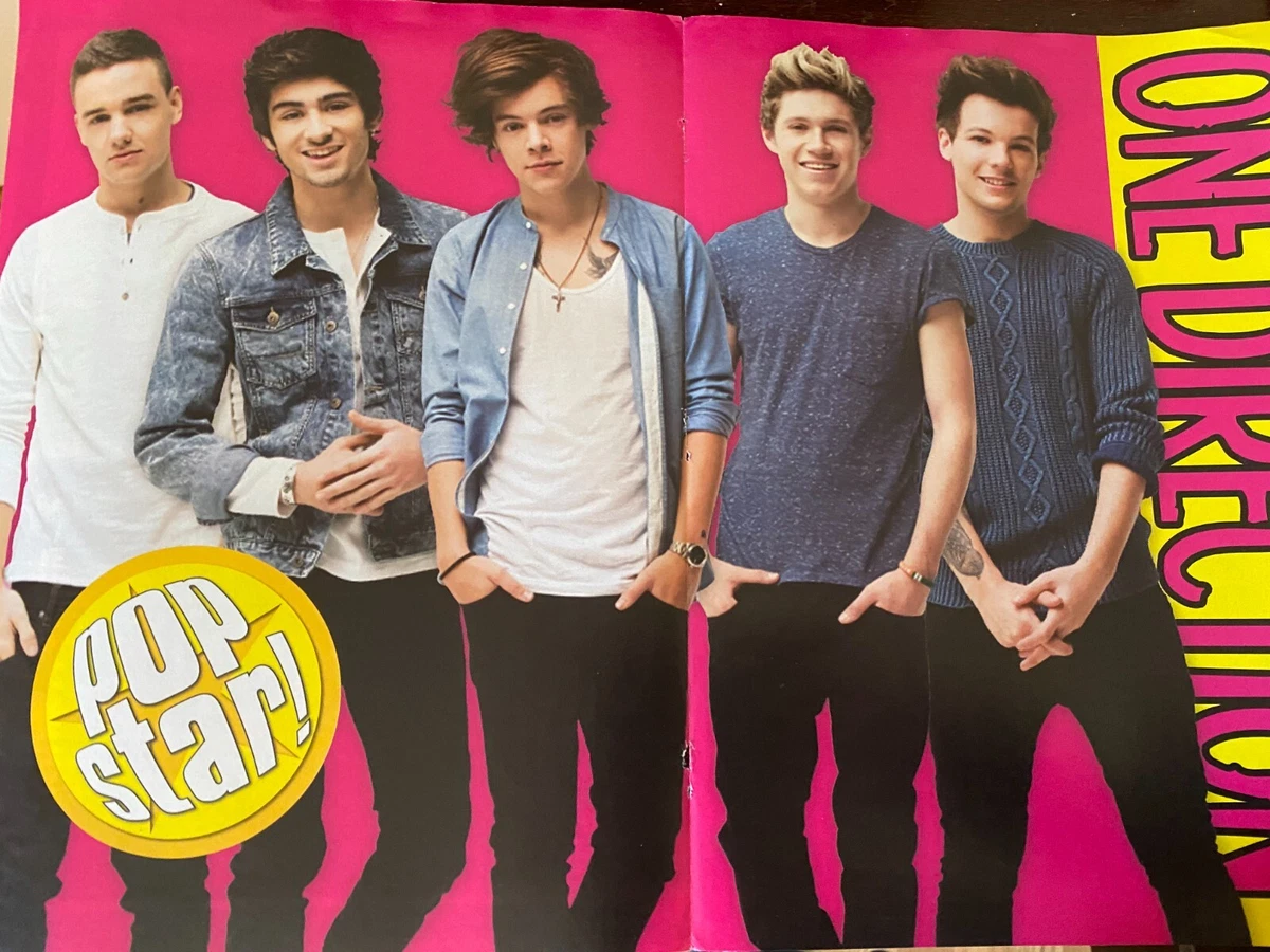 One Direction Signed Poster
