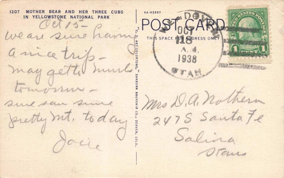 Postcard Mother Bear and her Three Cubs Yellowstone National Park UT ...