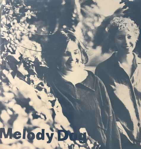 Olympia / K Records & PNW Indie Punk 7” Bundle – 13 Records | eBay