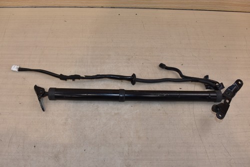 13-18 TOYOTA RAV4 REAR GATE LIFTGATE TRUNK STRUT SHOCK DAMPER GENUINE ...