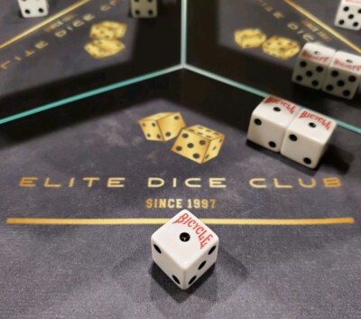 Loaded dice Gaffed dice Trick dice Magic dice Weighted dice | eBay