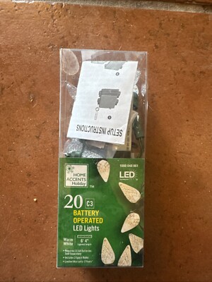 Home Accents Holiday 20L Warm White C3 LED Battery Lights | eBay