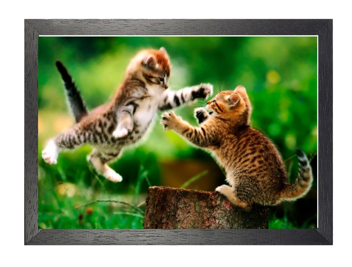 Flirty Cute Animal Memes Some Tism Flirt/pickupline Memes I Came Up