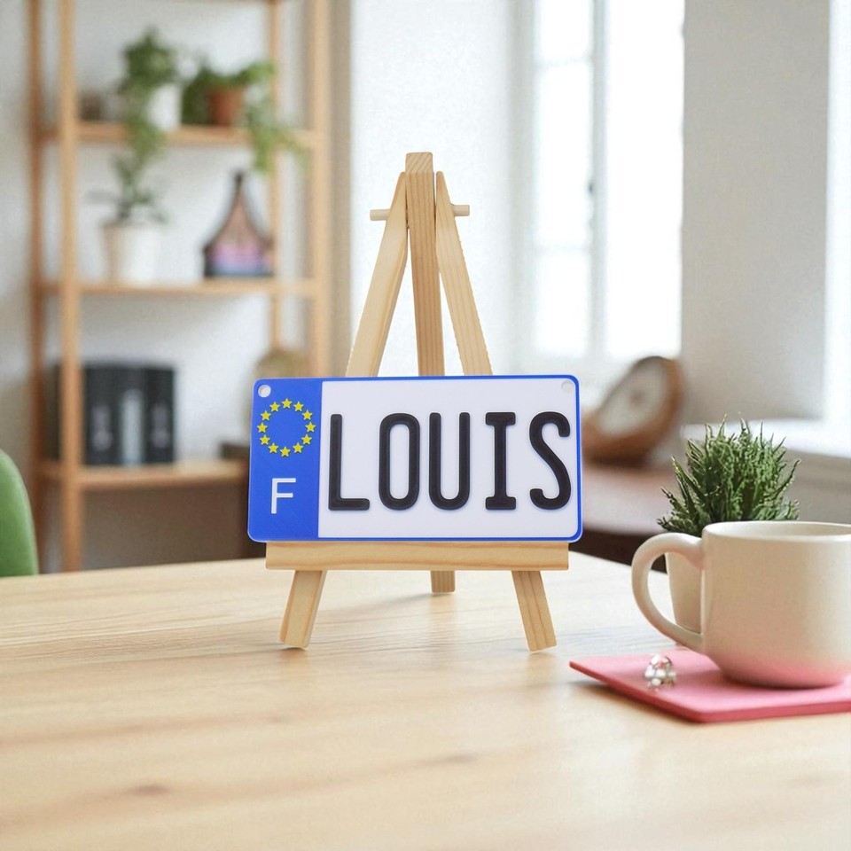 Personalized Euro Mini License Plate 4x2" – Custom EU Tag for Bikes ...