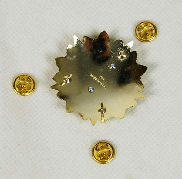 US Army Dod General Staff Officer Rank Insignia Medal Badge Pin ...