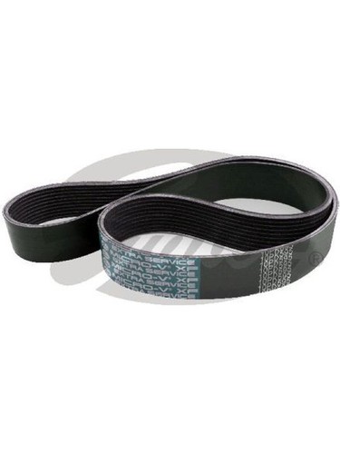 Gates Micro-V Ribbed Belt (10PK595) (8552-3290) | eBay