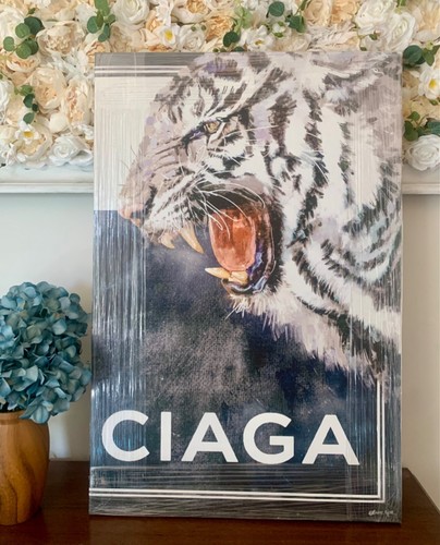 Large White Tiger Ciaga Effect Symbol II Wall Art Oliver Gal, 24”x36 ...