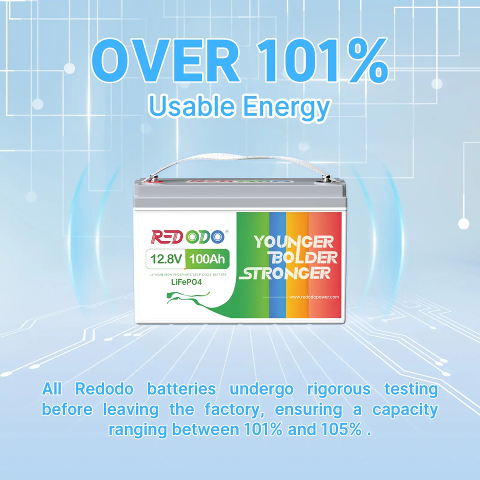 Redodo 12V 100Ah LiFePO4 Lithium Battery 100A BMS for RV Solar Trolling ...