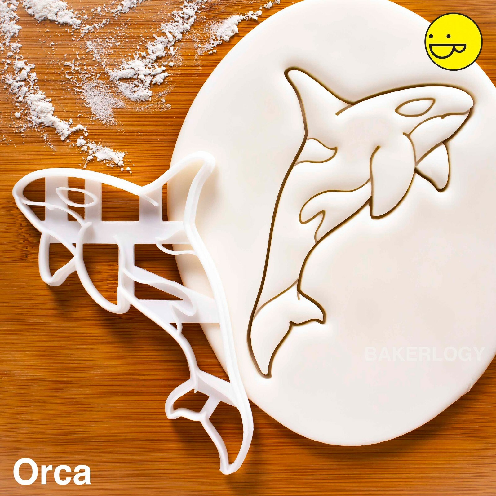 Orca cookie cutter, Killer Whale conservation endangered climate change ...
