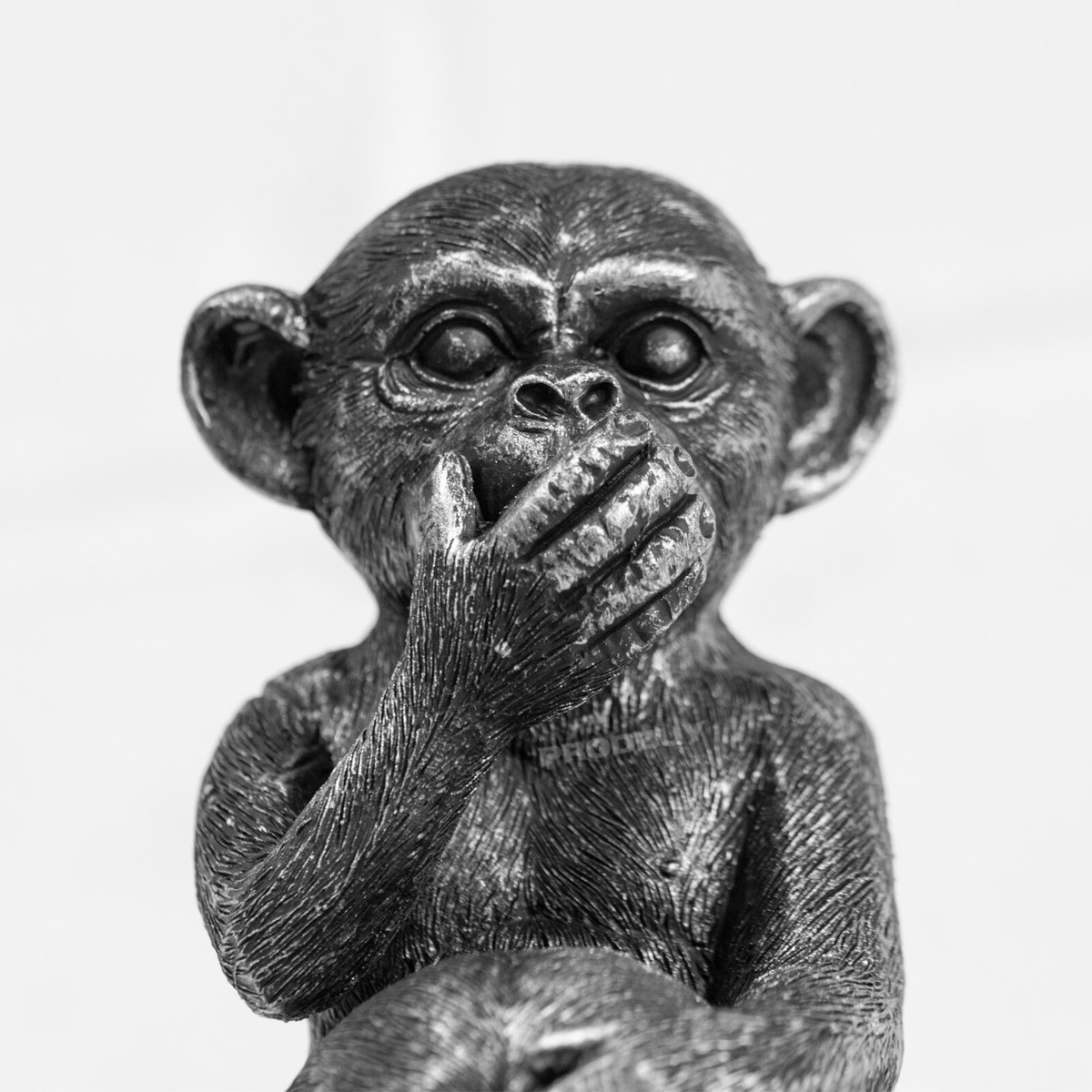 Wise Chimp THE Wisdom Of MONKY Comes To THENA | By THENA | Medium