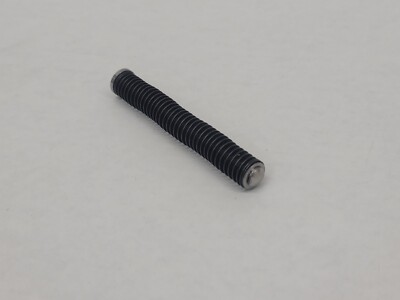 Rock Slide USA Stainless Steel Recoil Guide Rod & Spring for Glock 19/ ...