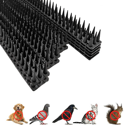 84x Bird Spikes Deterrent Anti Cat Human Possum Spiked Fence Mouse Pest ...