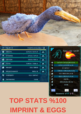 Pelagornis %100 imprint & EGGS Ark Survival Ascended Official PVE | eBay