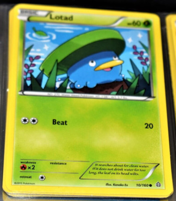 Lotad # 10/160 XY Primal Clash Set Pokemon Trading TCG Game Cards NM ...