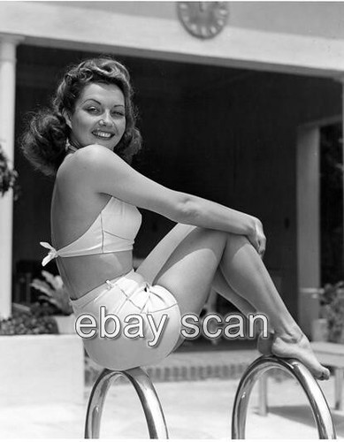 LYNN BARI LEGGY CHEESECAKE 8X10 PHOTO 16 | eBay