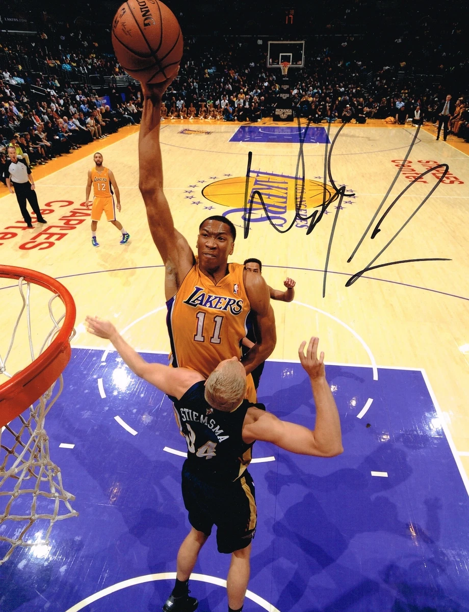 Wesley Johnson Lakers