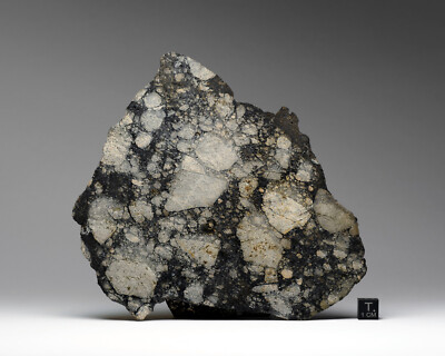 NWA 15658 - 118,9g - HED Eucrite melt breccia - Meteorite | eBay