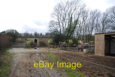 Photo 6x4 Horses, Little Dunk's Farm Lamberhurst Quarter 2 c2010 | eBay UK