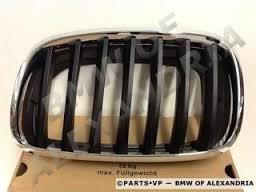 Kidney Grille Left Hand Genuine BMW X5 E70 M Sport X6 E71 51137157687 ...