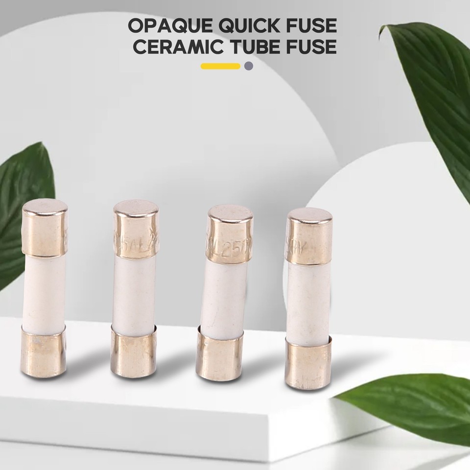 10Pcs 250V 0.5A 500mA Fast Blow Ceramic Fuses Tubes 5mm x 20mm S4L44017 ...