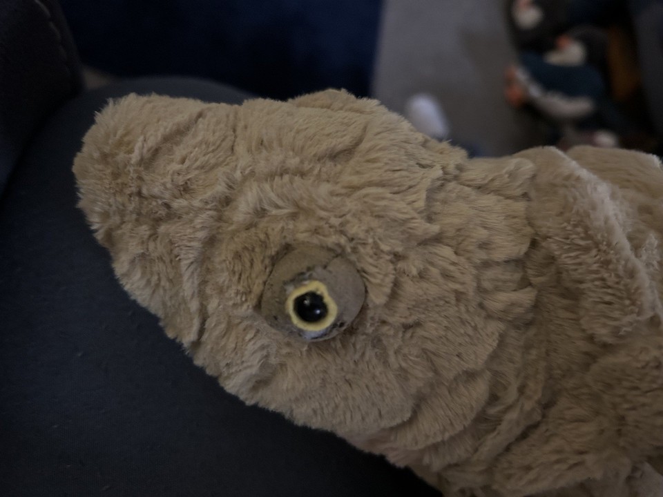Jellycat Logan Lizard (small eye damage see pic) | eBay