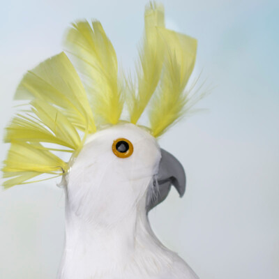 Set of 2 White Artificial 10" Decorative Cockatoos with Yellow Head ...