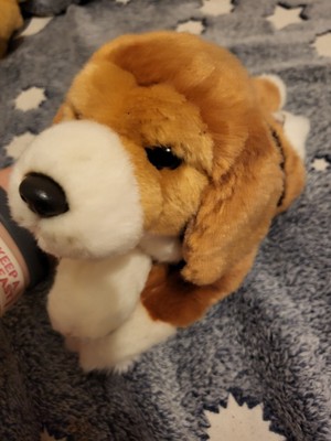 Webkinz Signature Beagle Plush Only No Code (D) | eBay