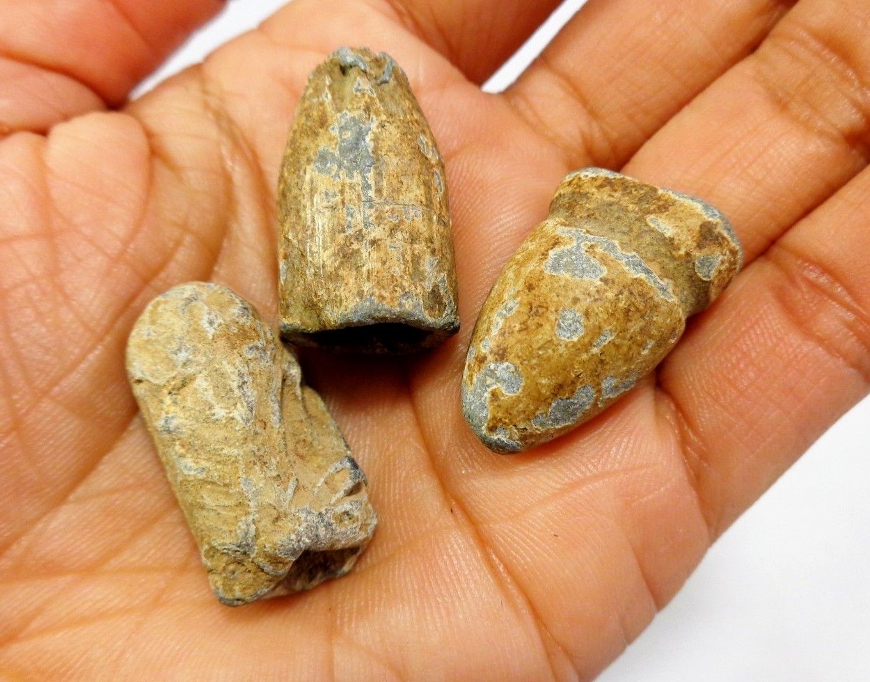 RARE MID-19TH C ANT EXCAVATED 3 UNION ARMY CIVIL WAR LEAD BULLETS W ...