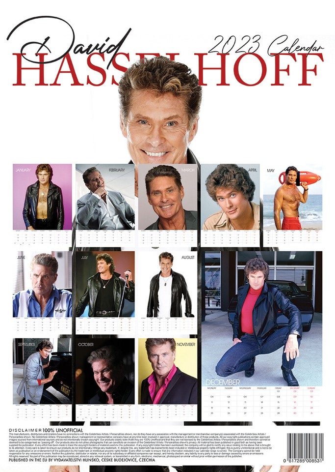 DAVID HASSELHOFF CALENDAR 2023 A3 WALL SIZE NEW AND SEALED | eBay