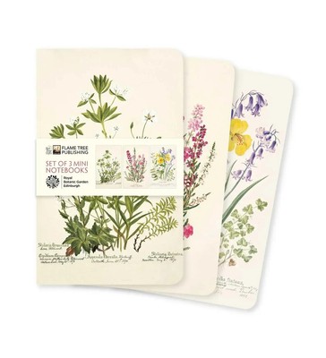 Royal Botanic Garden Edinburgh Set of 3 Mini Notebooks Flame Tree ...