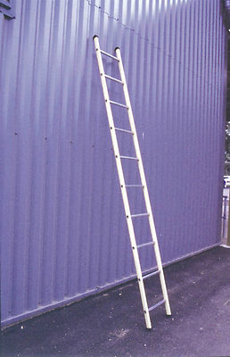 Industrial Single Section Pole Ladder Ladders - 3m - 8m | eBay UK